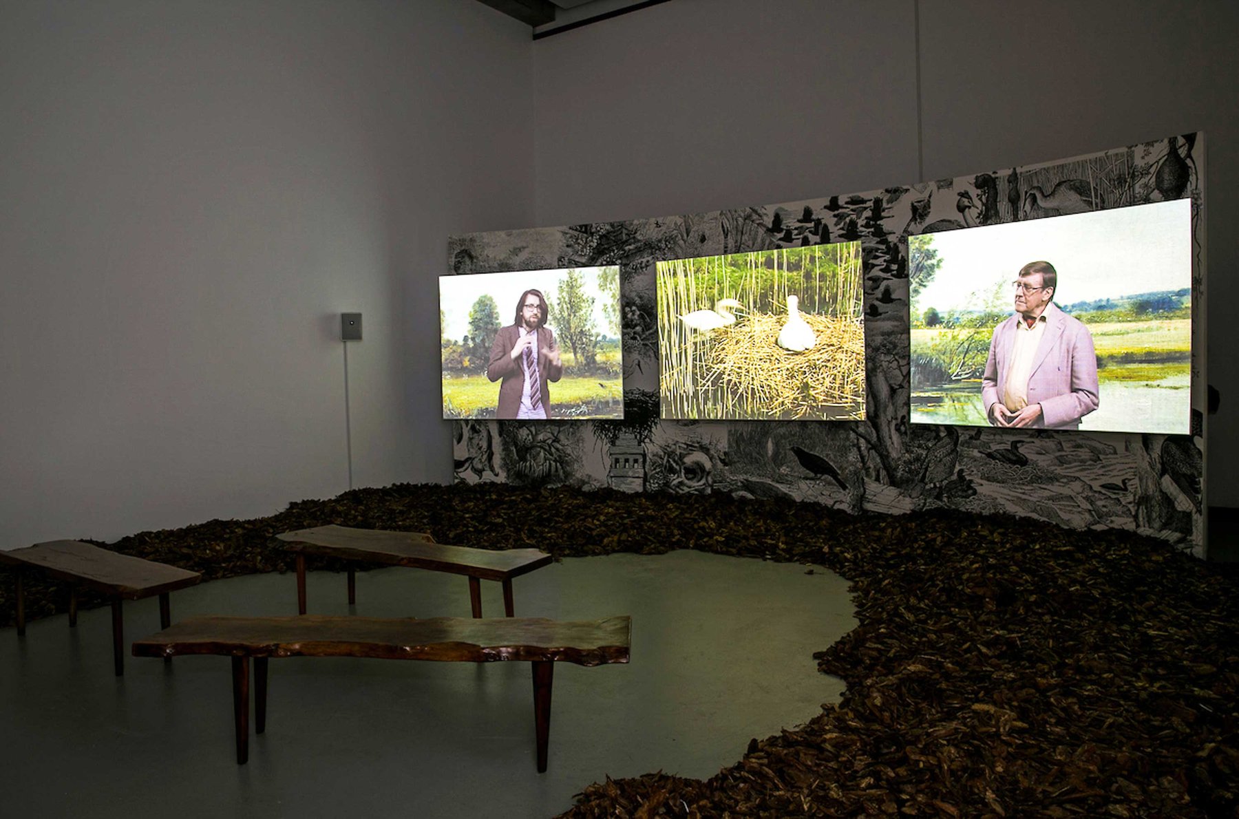 A Natural History of Nest Building | Artangel